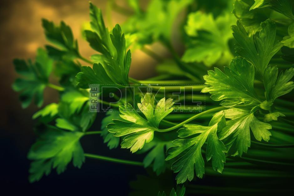 Free Photos - Fresh Green Herbs Growing - Potted Plant With Freshly ...