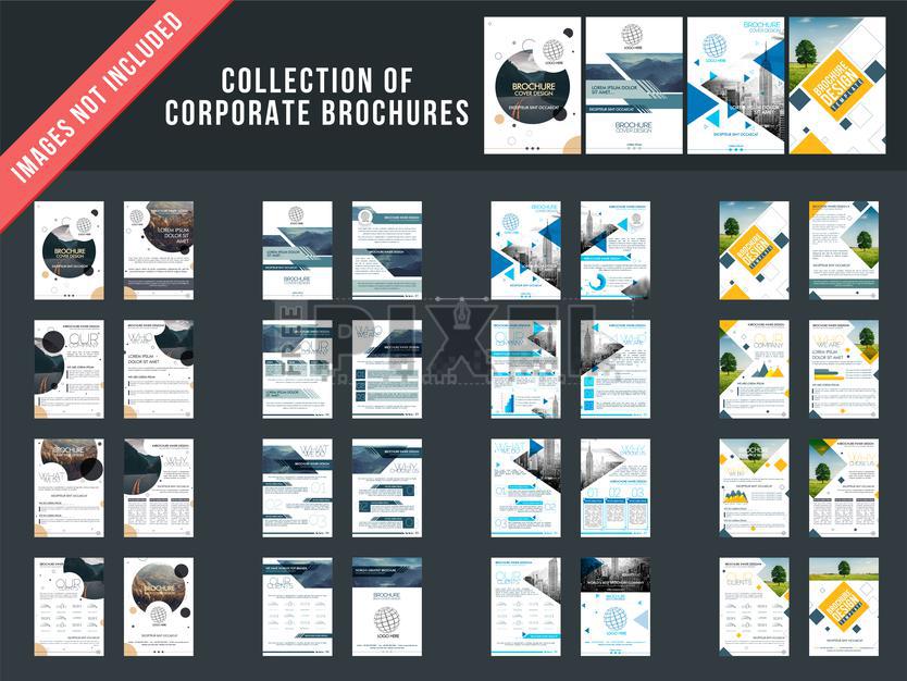 Free Vectors - Set Of 4 Multiple Pages Brochures With Cover Page Design ...
